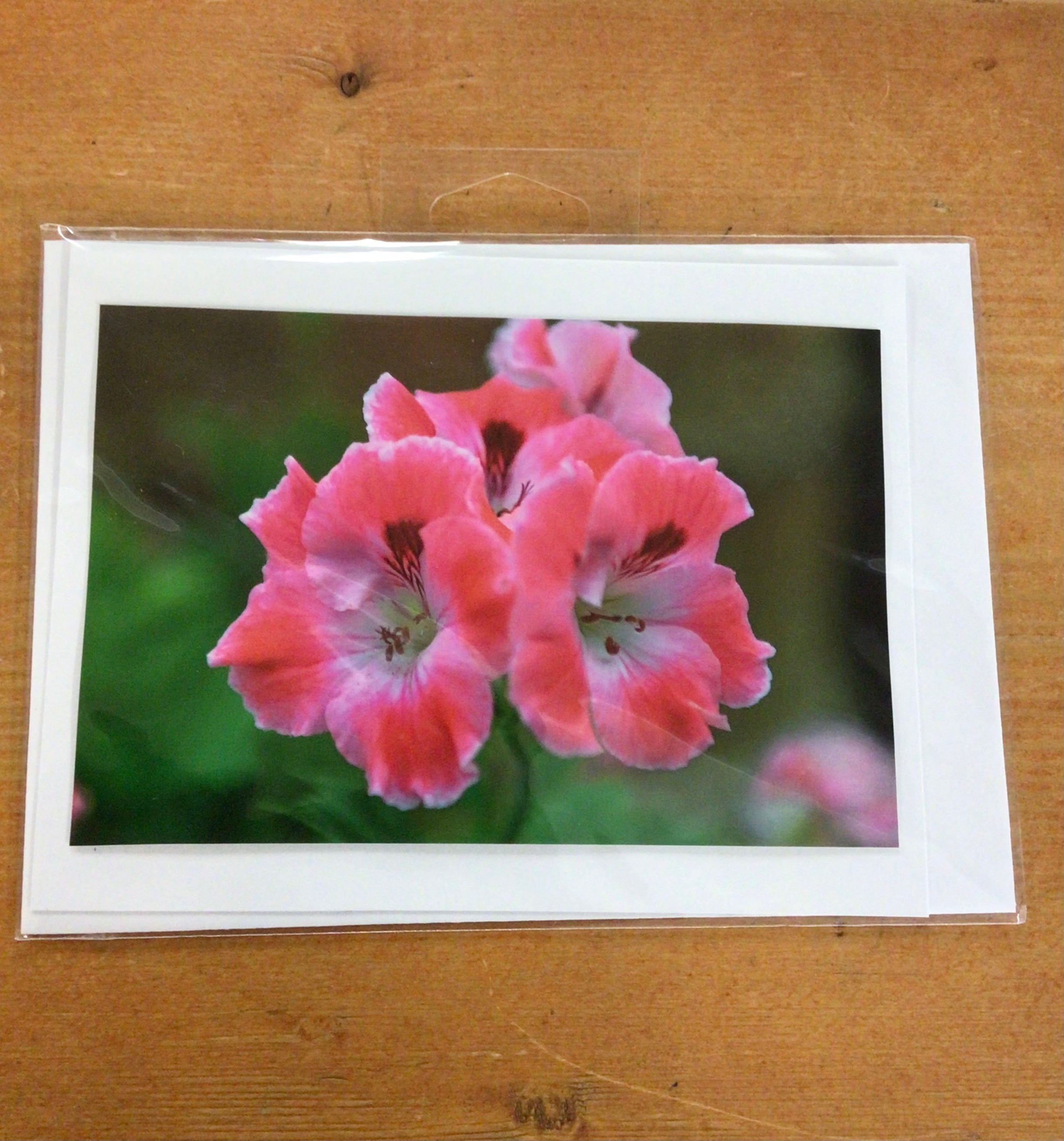 Regal Geranium Card | The Art Room